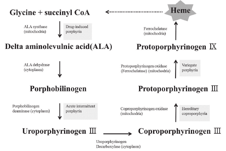 Biochemistry With Every Option Explained - HMI